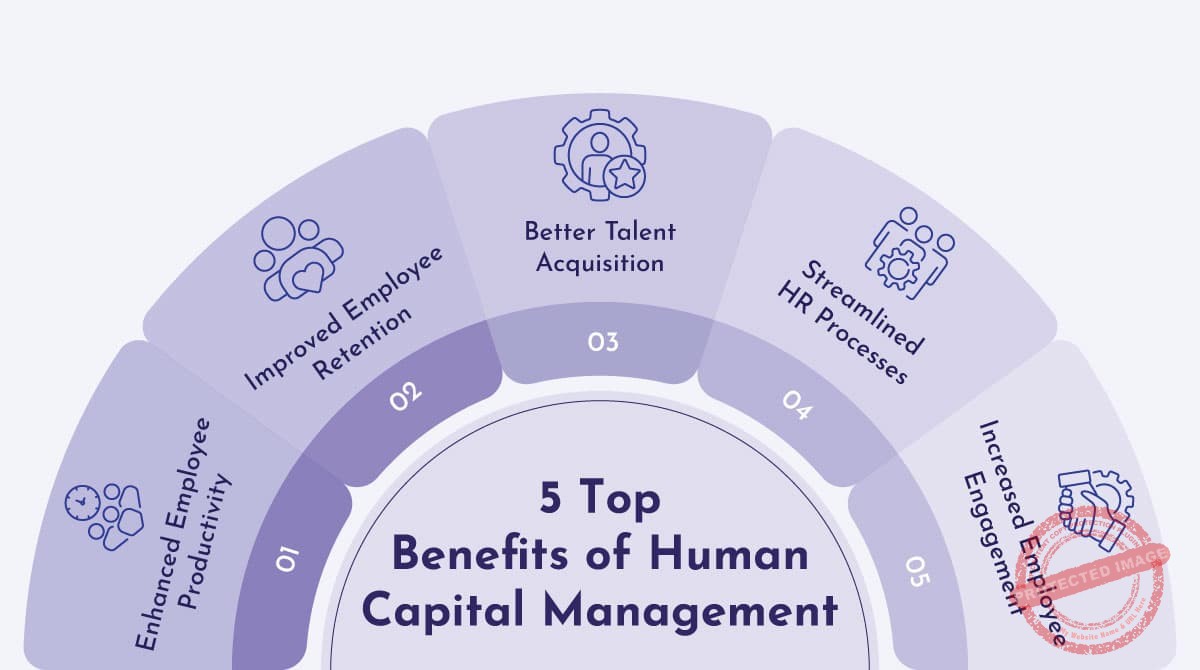 How to Improve Human Capital Management | 7 Strategy